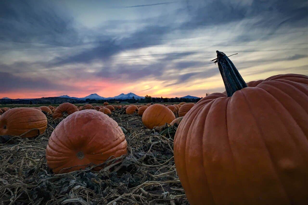 Experience Fall: Smith Rock Ranch & Terrebonne Pumpkin Patche