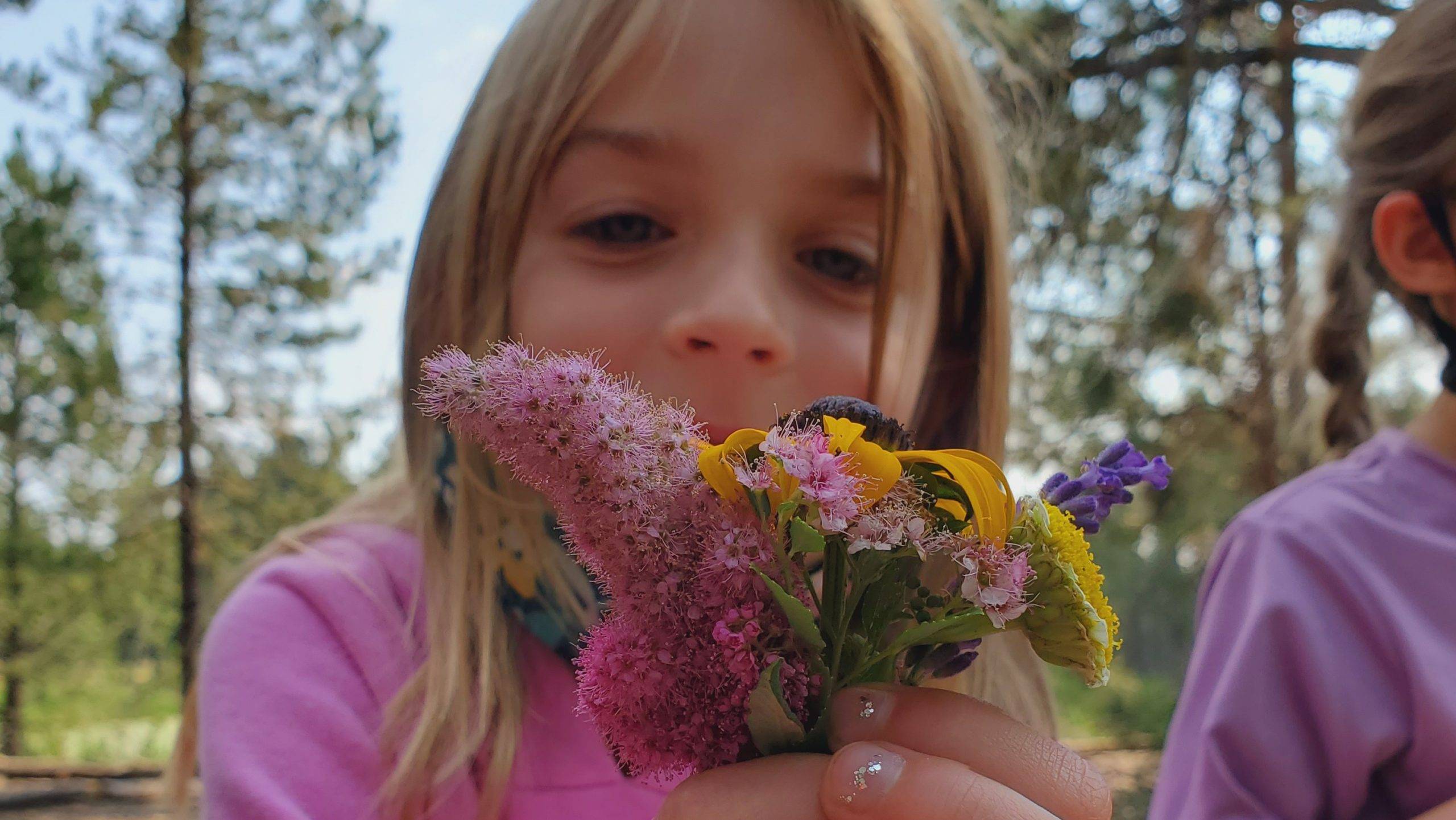 Bees & Botany Bonanza Family Program | Visit Central Oregon