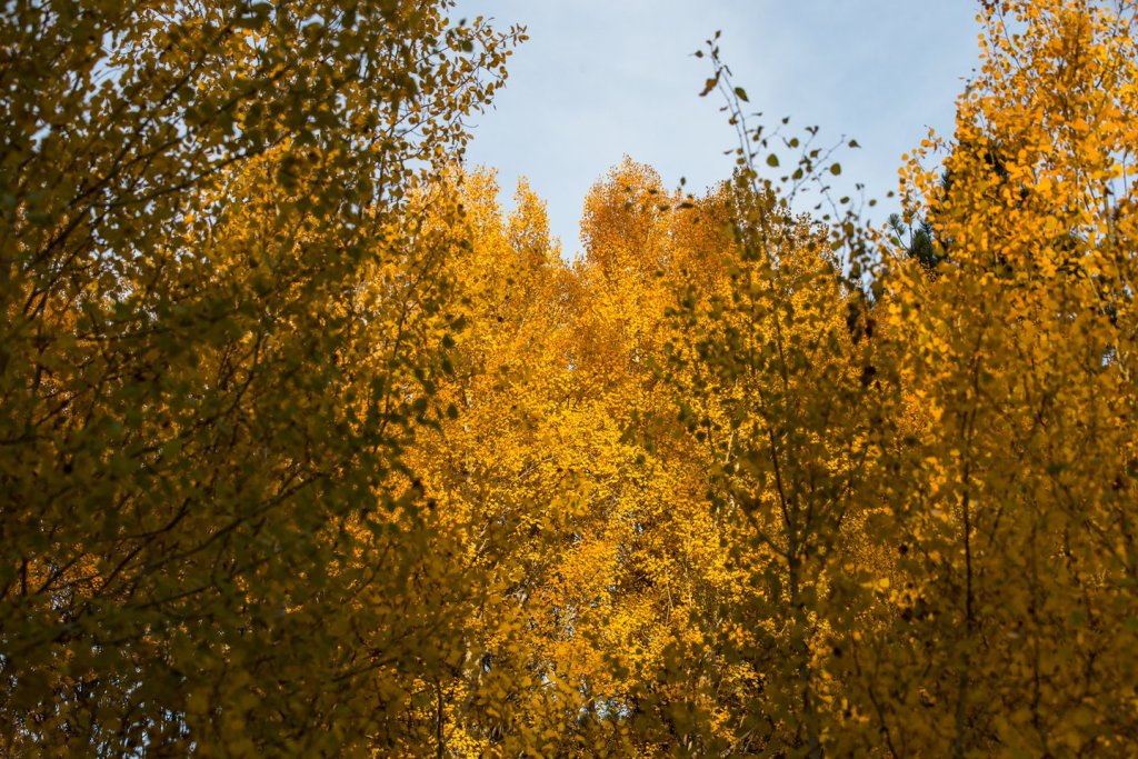 Best Fall Hikes In Central Oregon | Visit Central Oregon