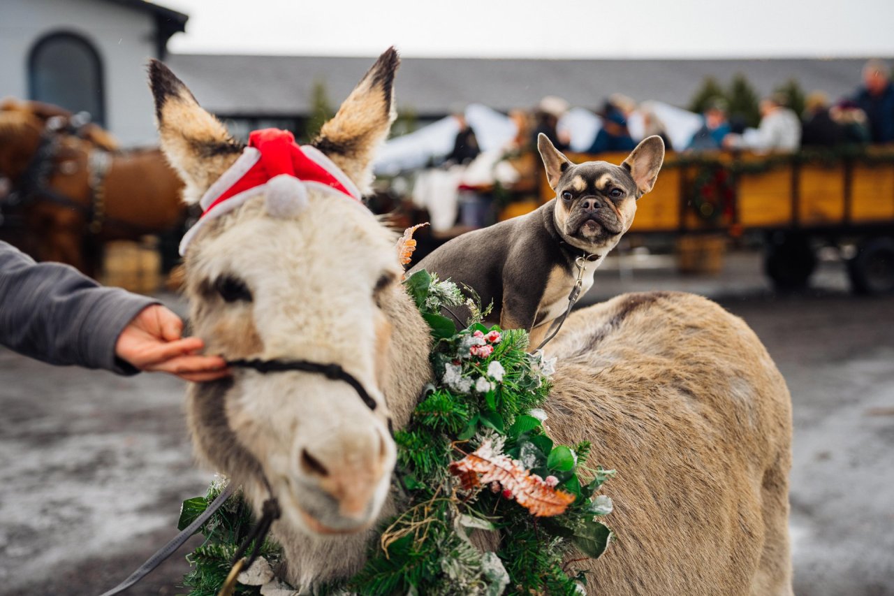 Holiday Events in Central Oregon | Visit Central Oregon