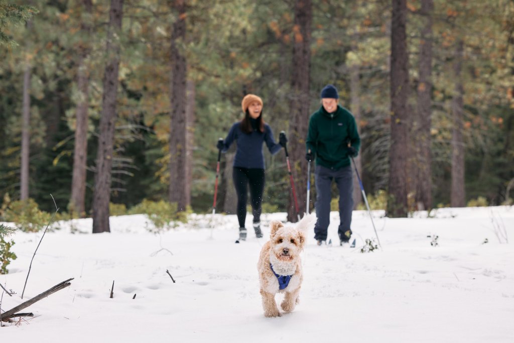 Bend, Oregon's Elevation & Altitude Explained | Visit Central Oregon